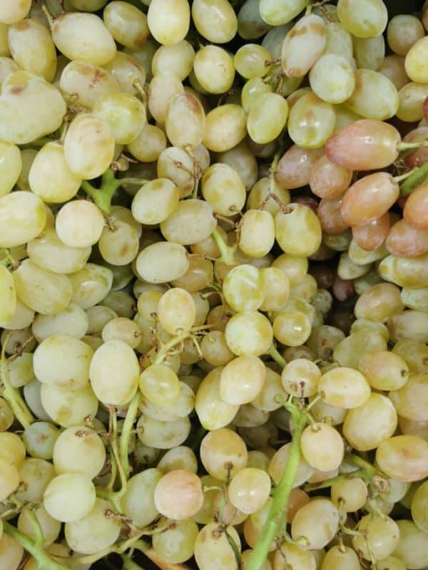 Grapes, Muscat Rose, Italy – Marshford Organic Foods