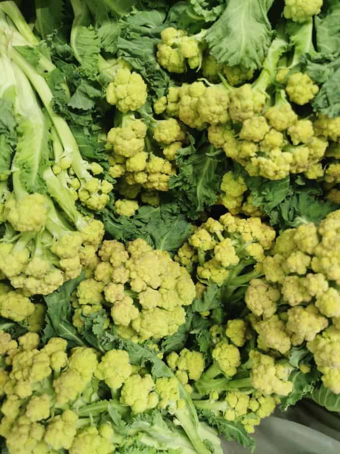 White Sprouting Broccoli, UK – Marshford Organic Foods