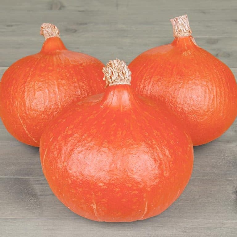 Marshford Organic Foods – Organic Fruits, Vegetables & Meat