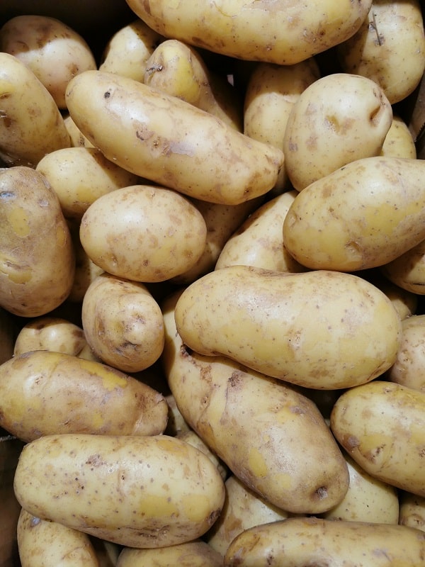 New Potatoes, Nicola, Italy (Boilers) – Marshford Organic Foods