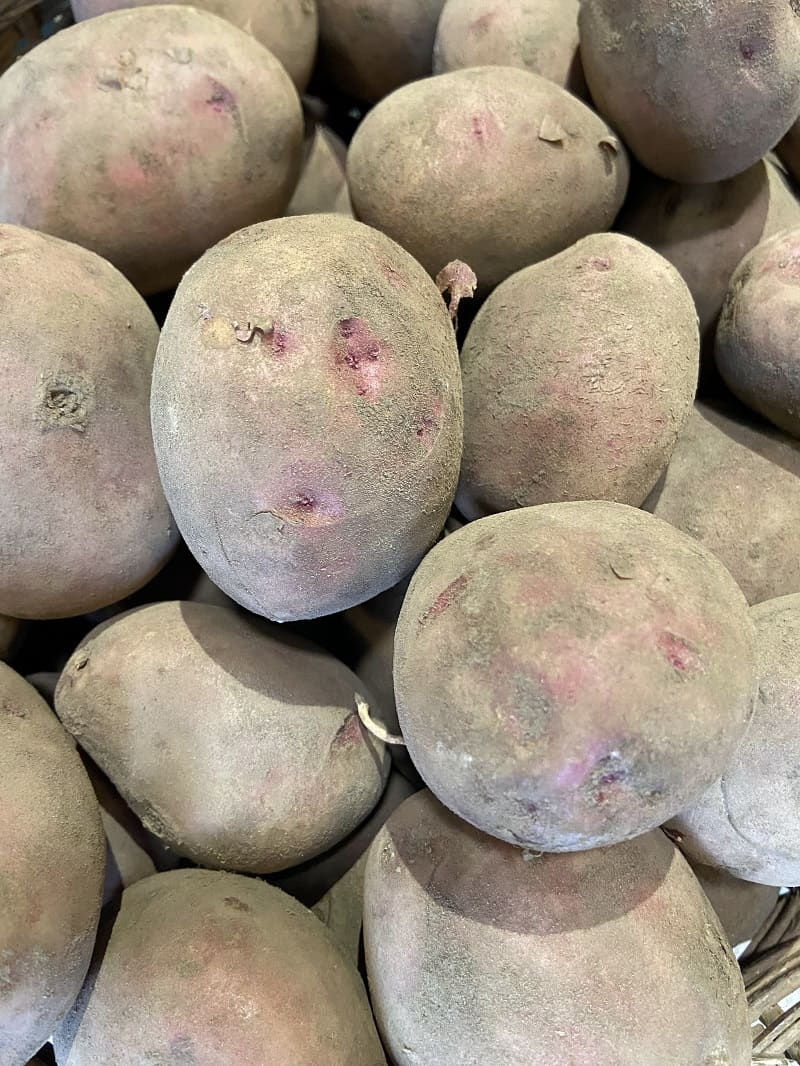Potatoes, Rudolph, York (All Rounder) – Marshford Organic Foods